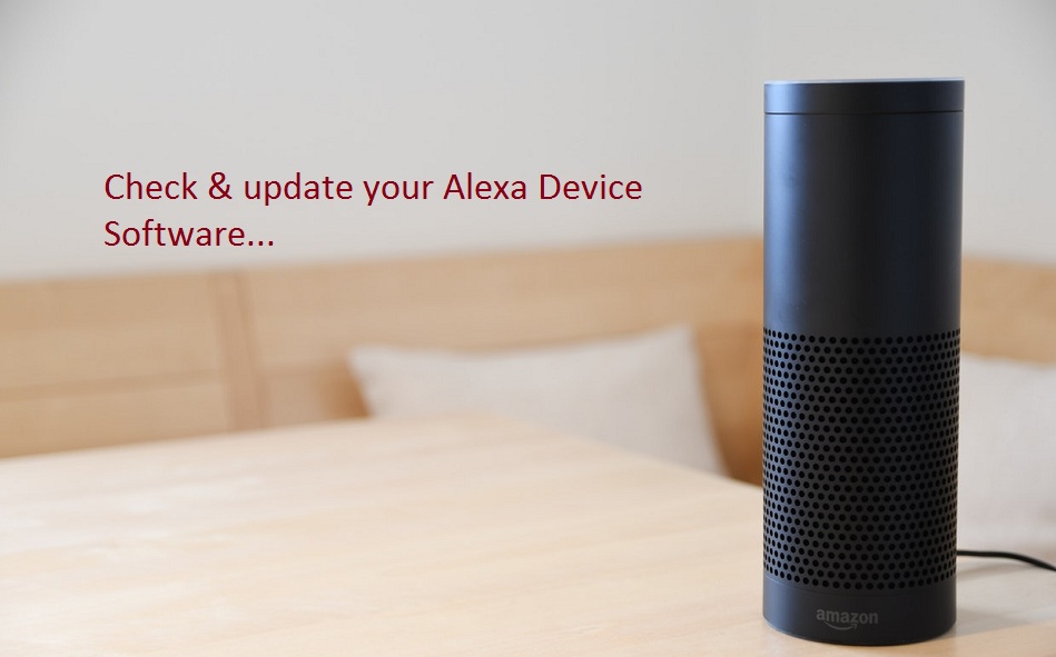 How will you check & update your Alexa Device Software? | TechGnext.Com